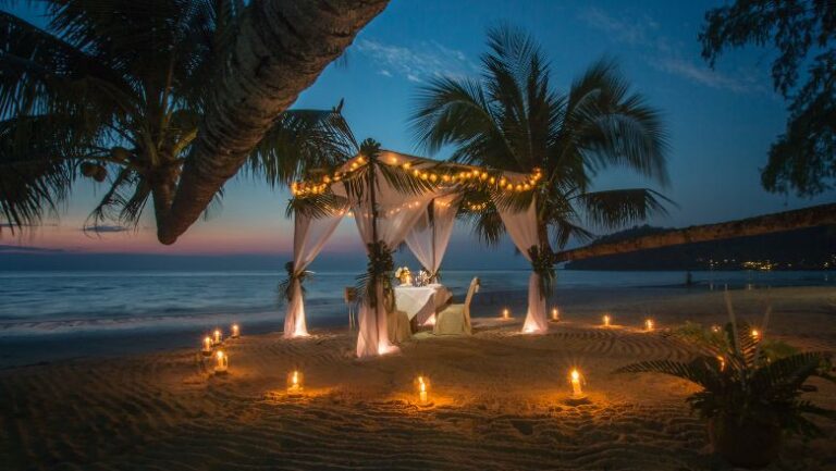 5 DIY Outdoor Canopy Ideas For Your Oasis! - CraftRiver